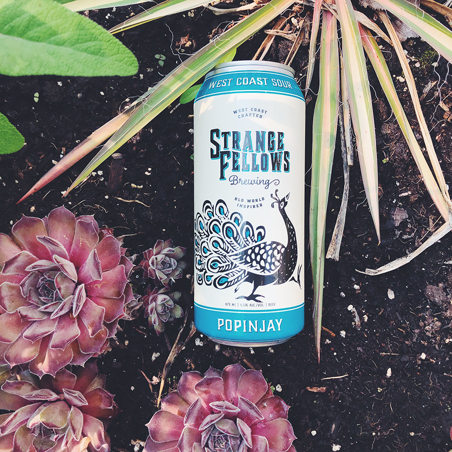 Red Light – Ramen Bar